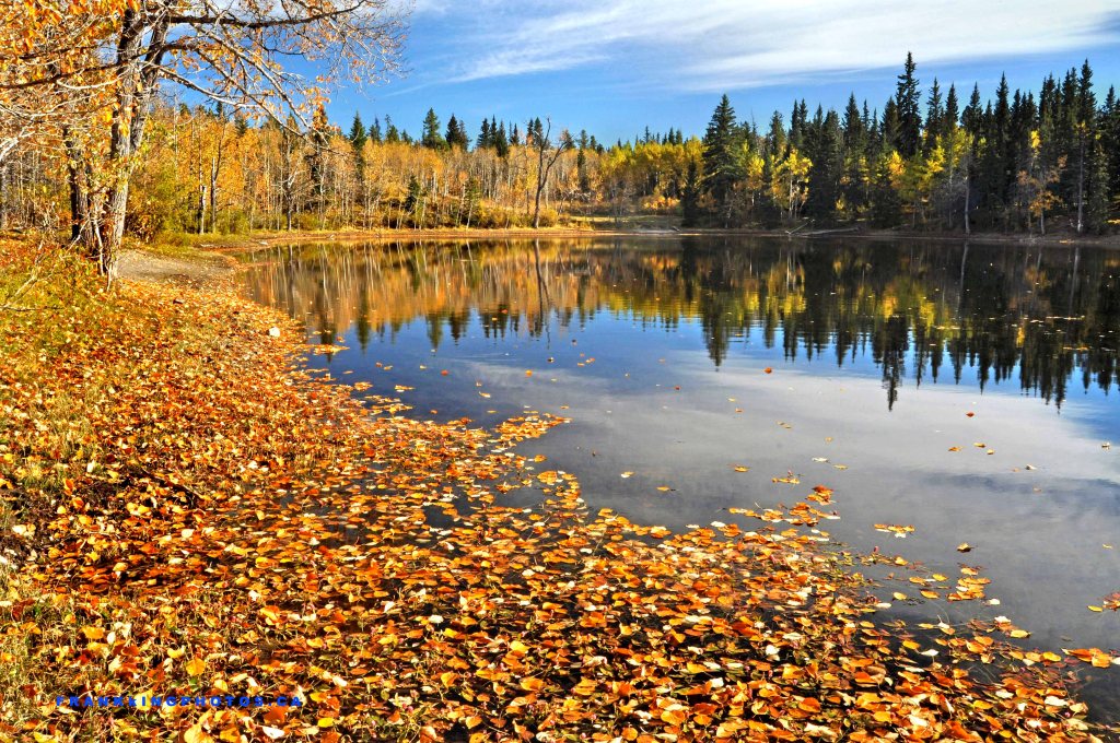 Natural landscapes: the colour of autumn | FRANK KING PHOTOS