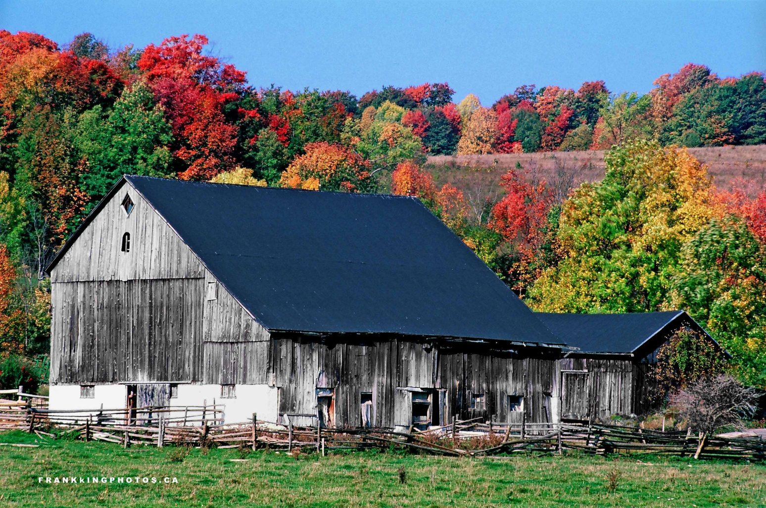 Rural landscapes: below the ridge of colour | FRANK KING PHOTOS