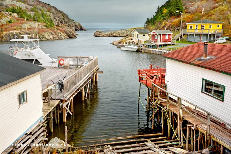 Rural landscapes: from the harbour to the ocean | FRANK KING PHOTOS