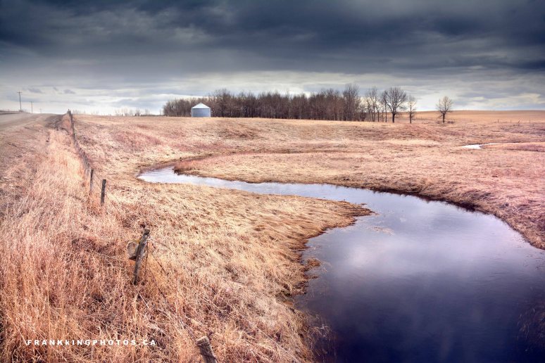 Rural landscapes: the curves of a prairie spring | FRANK KING PHOTOS