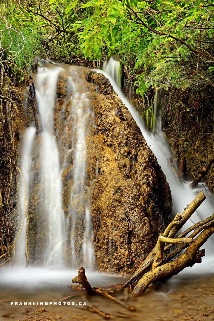Natural landscapes: Spring-fed summer glory | FRANK KING PHOTOS