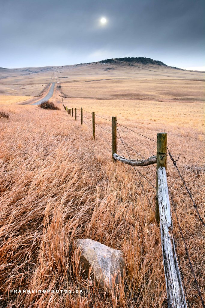 Rural landscapes: waiting for spring green | FRANK KING PHOTOS