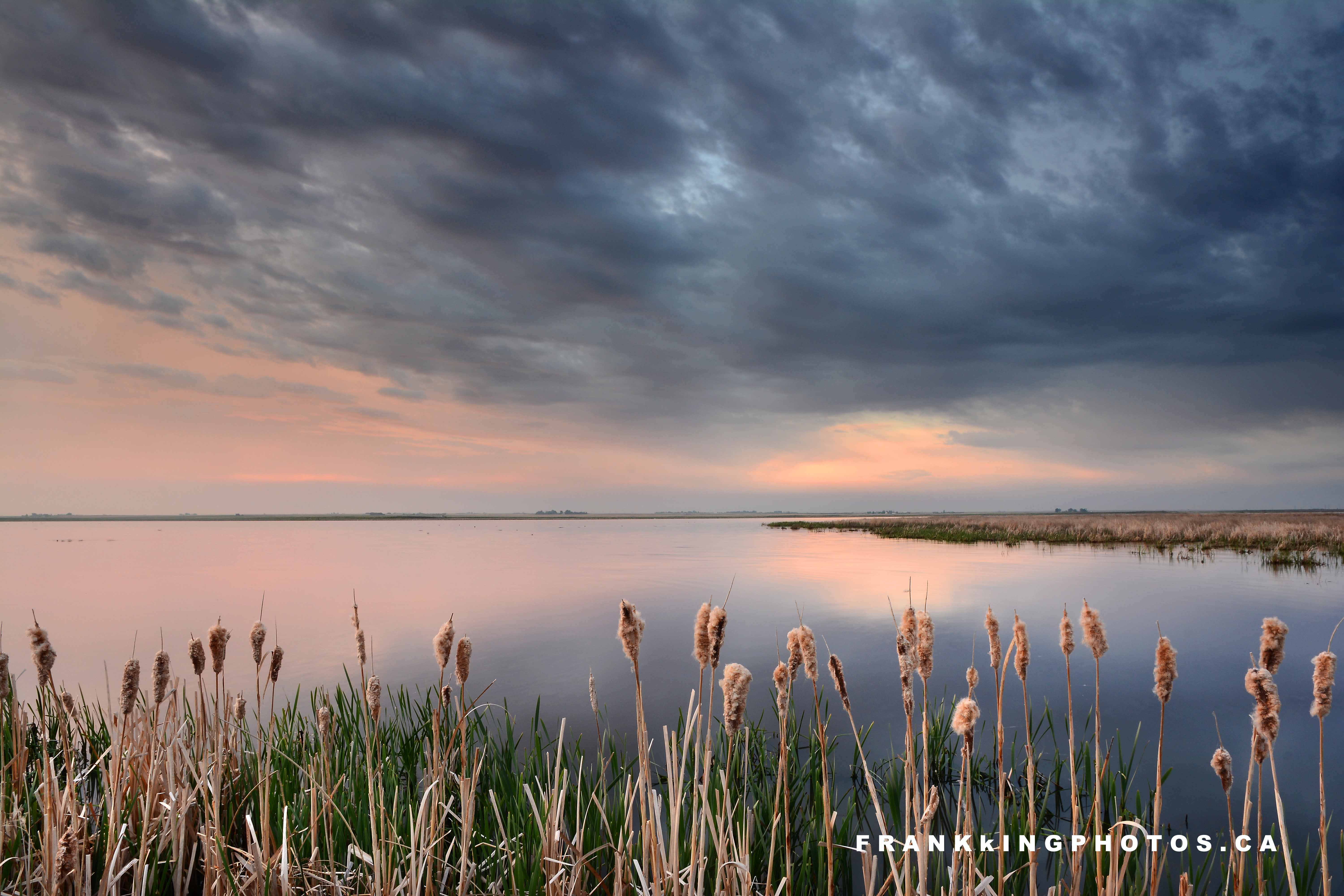 Natural landscapes: the moody spring sunrise | FRANK KING PHOTOS