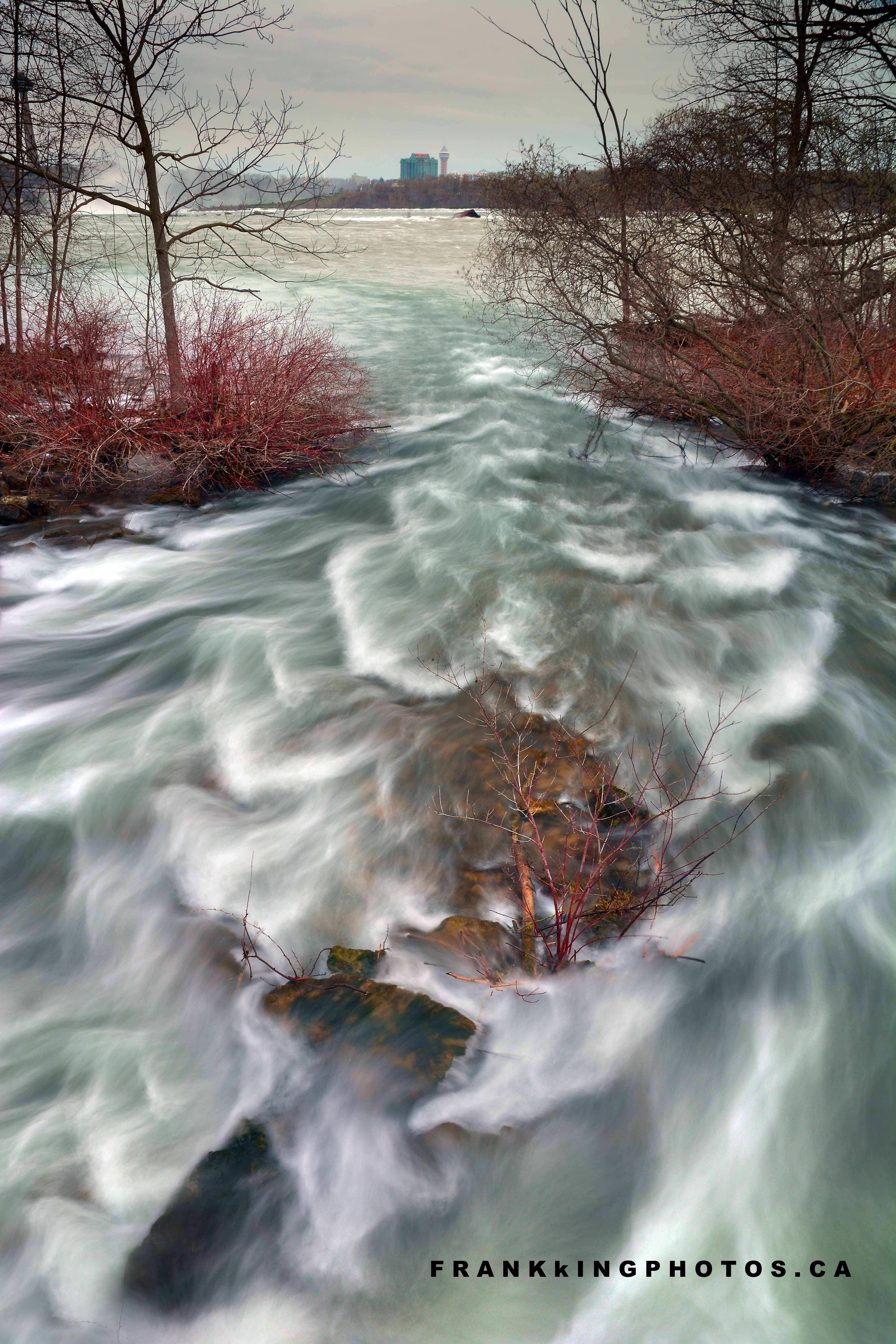 Natural landscapes: from the stream to the river | FRANK KING PHOTOS