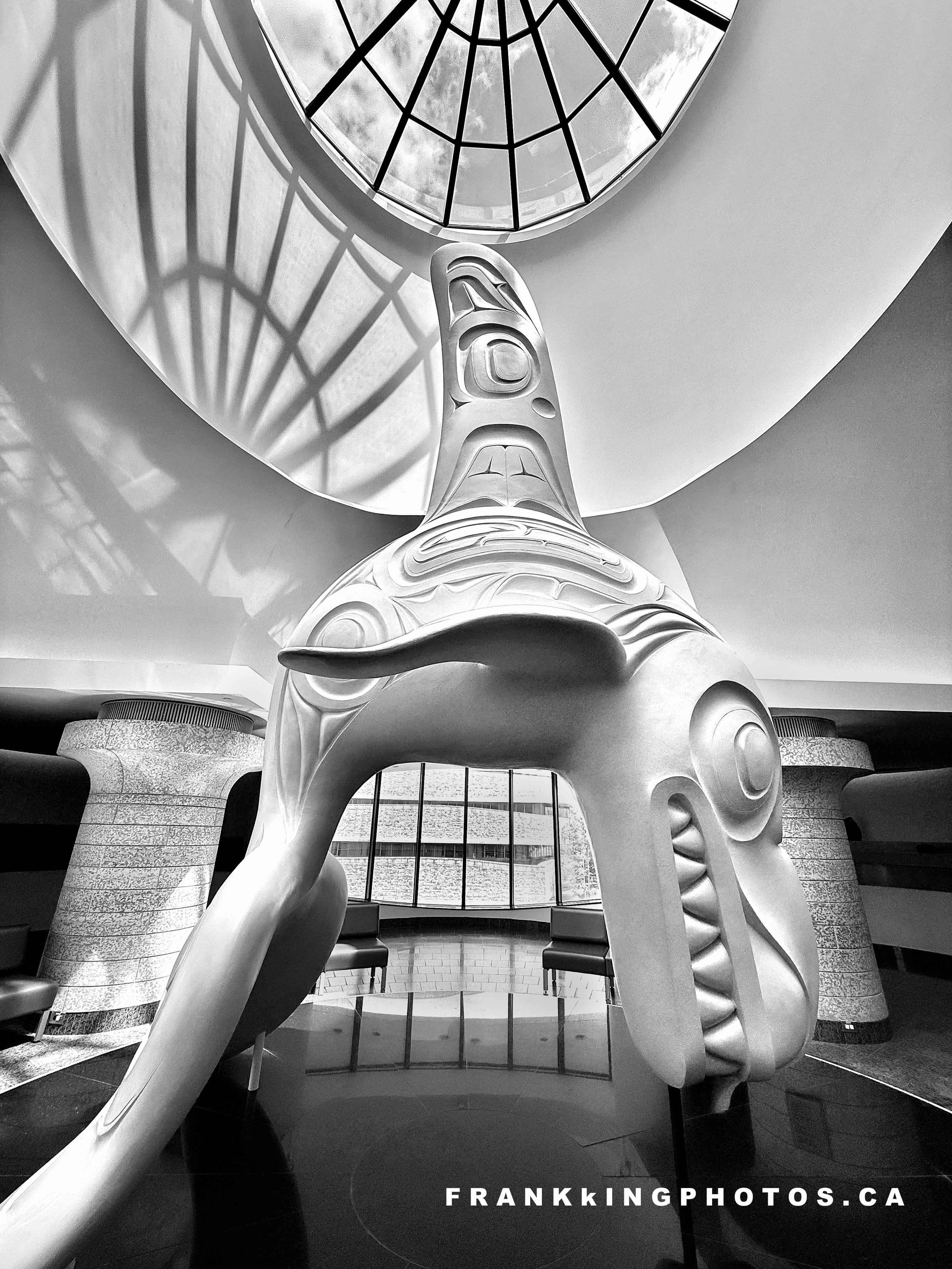 Urban landscapes: The stylized whale | FRANK KING PHOTOS